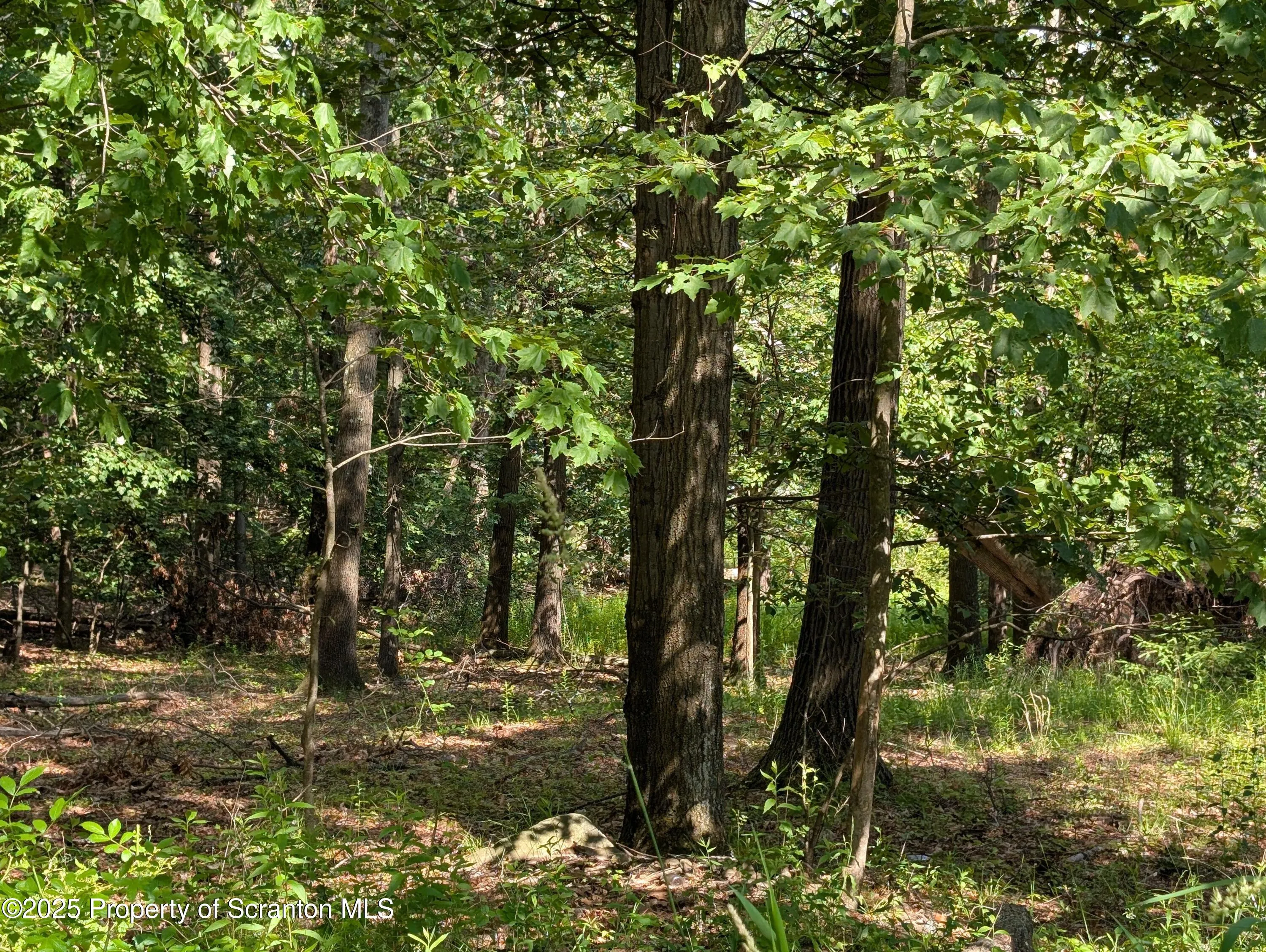 Land For Sale Marginal Road, Scranton, Pennsylvania 18504