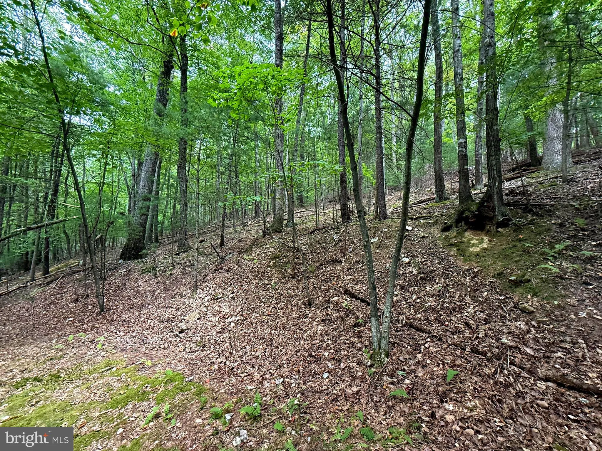 For Sale – Land – Lot 18B WITS END, Mathias, WV 26812 | Sugar Grove Realty