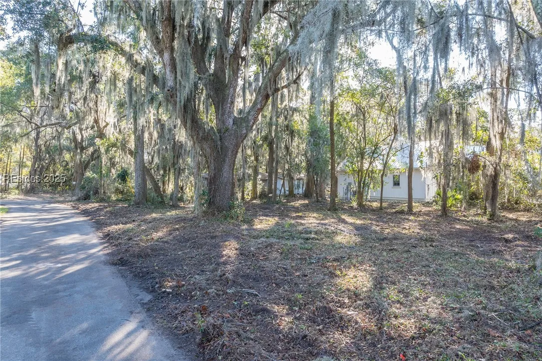 TBD Martin Luther King Jr Blvd, St Helena Island, SC 29920 - For Sale